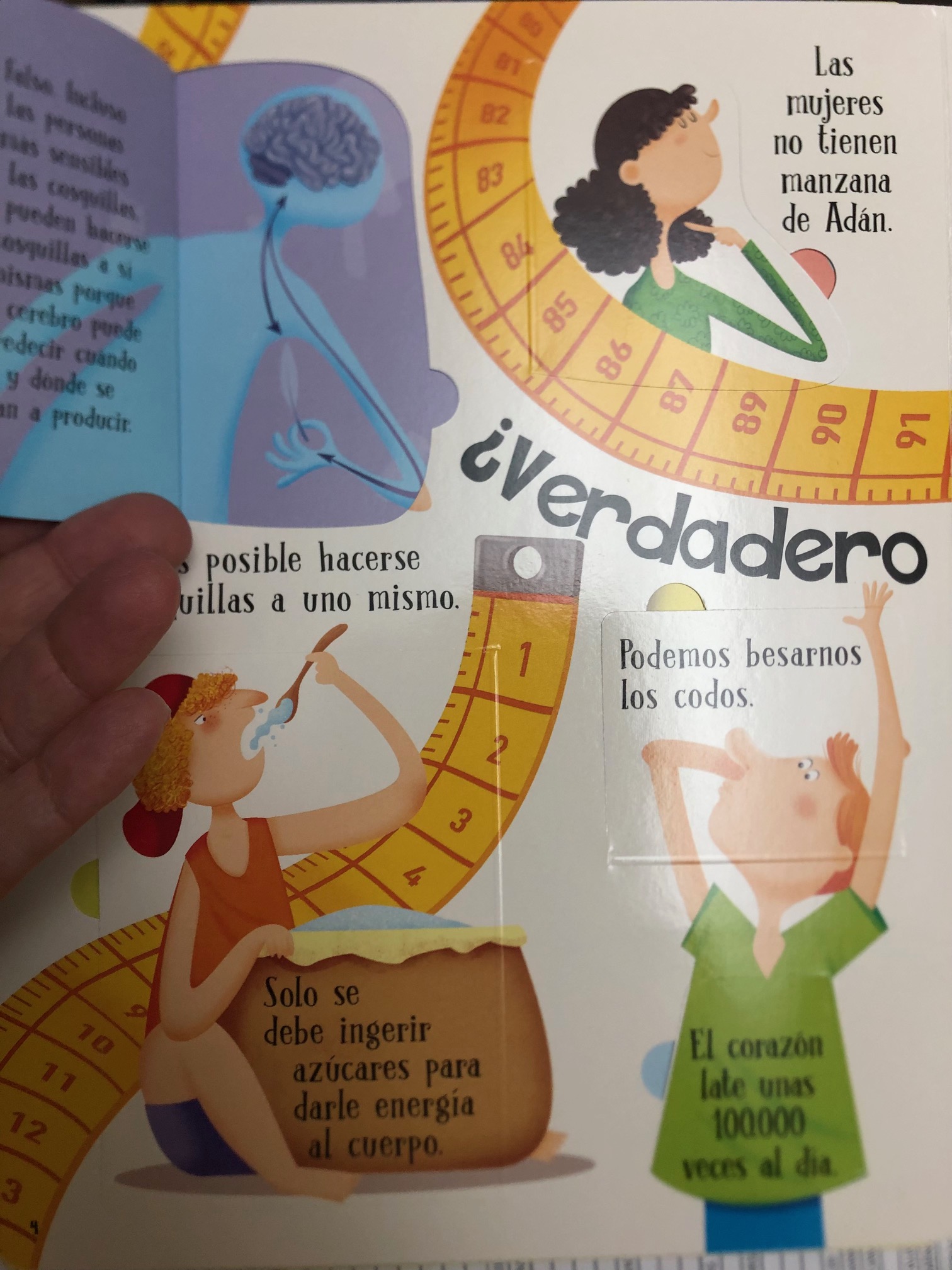 EL CUERPO HUMANO 60 INCREÍBLES DATOS CURIOSOS LEVANTA TAPITAS ...